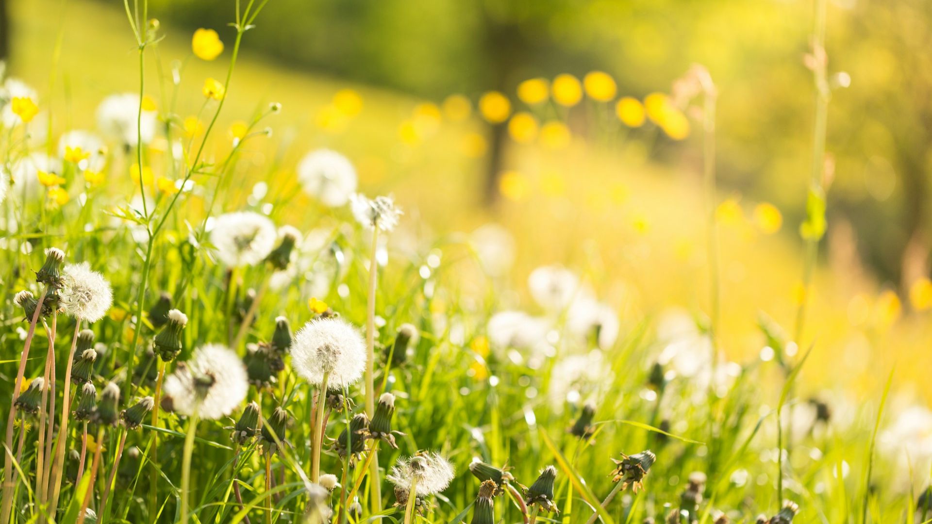 A Fun & Festive Spring Has Sprung In Helen, GA! - Helen GA Cabin ...
